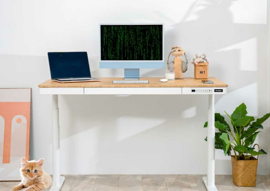 FlexiSpot 8-in-1 Standing Desk Q8 Review : A Great Investment - What Simply Works